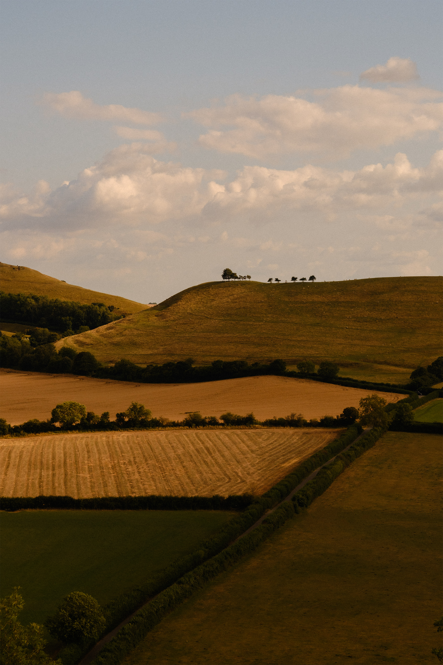 Commune - Sustainable Self Care